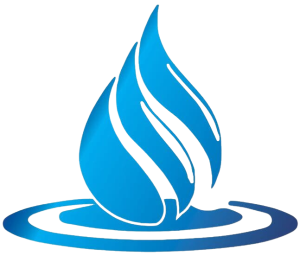 Auto Detailing | 1 Perfection Auto Spa